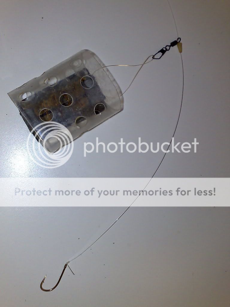 Chub - Simple set up and to hair rig or not? | Barbel Fishing World Forums