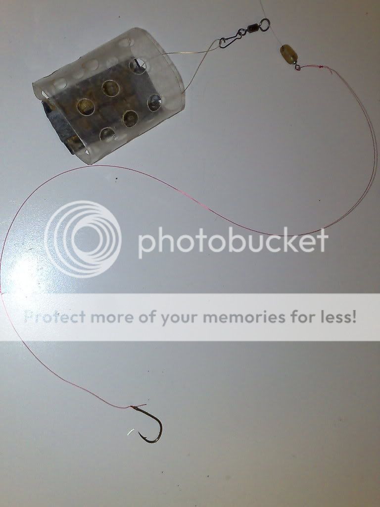 Chub - Simple set up and to hair rig or not? | Barbel Fishing World Forums